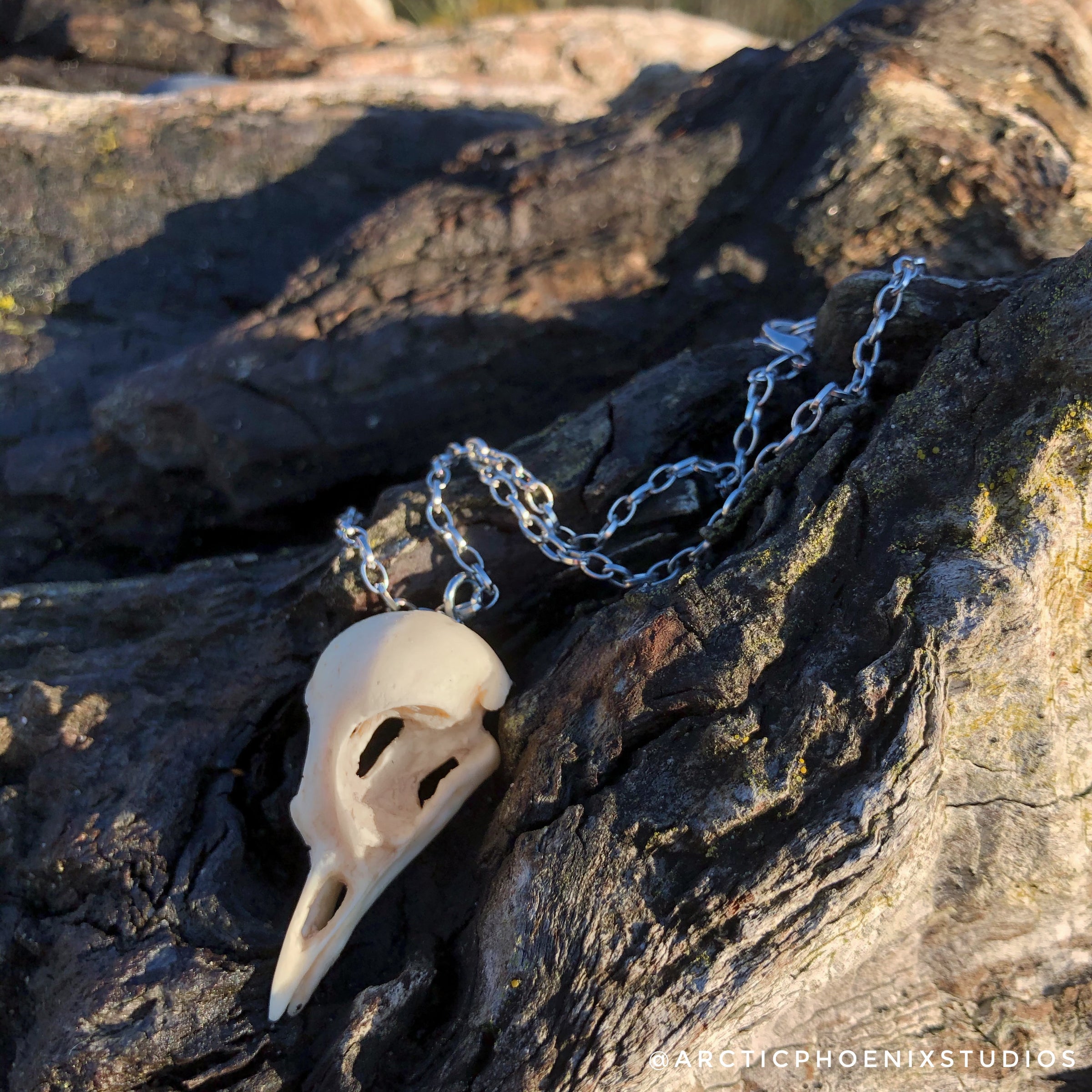 Resin Replica American Robin Skull Necklace
